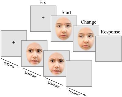 Frontiers | Multimodal Evidence of Atypical Processing of Eye Gaze and Facial Emotion in ...